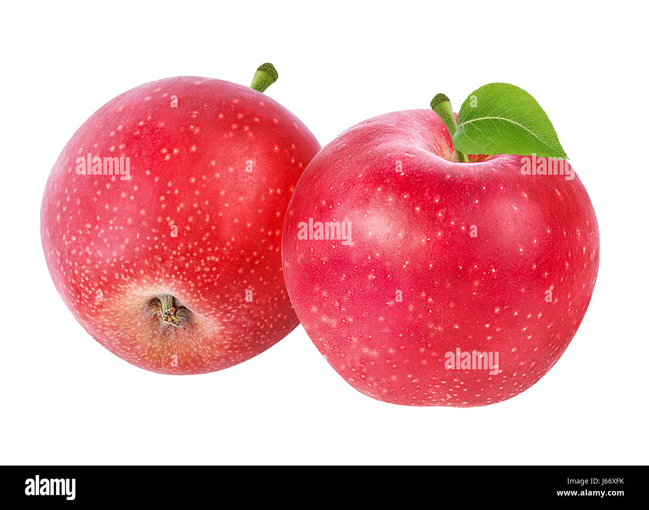 apple isolated on white background Stock Photo - Alamy