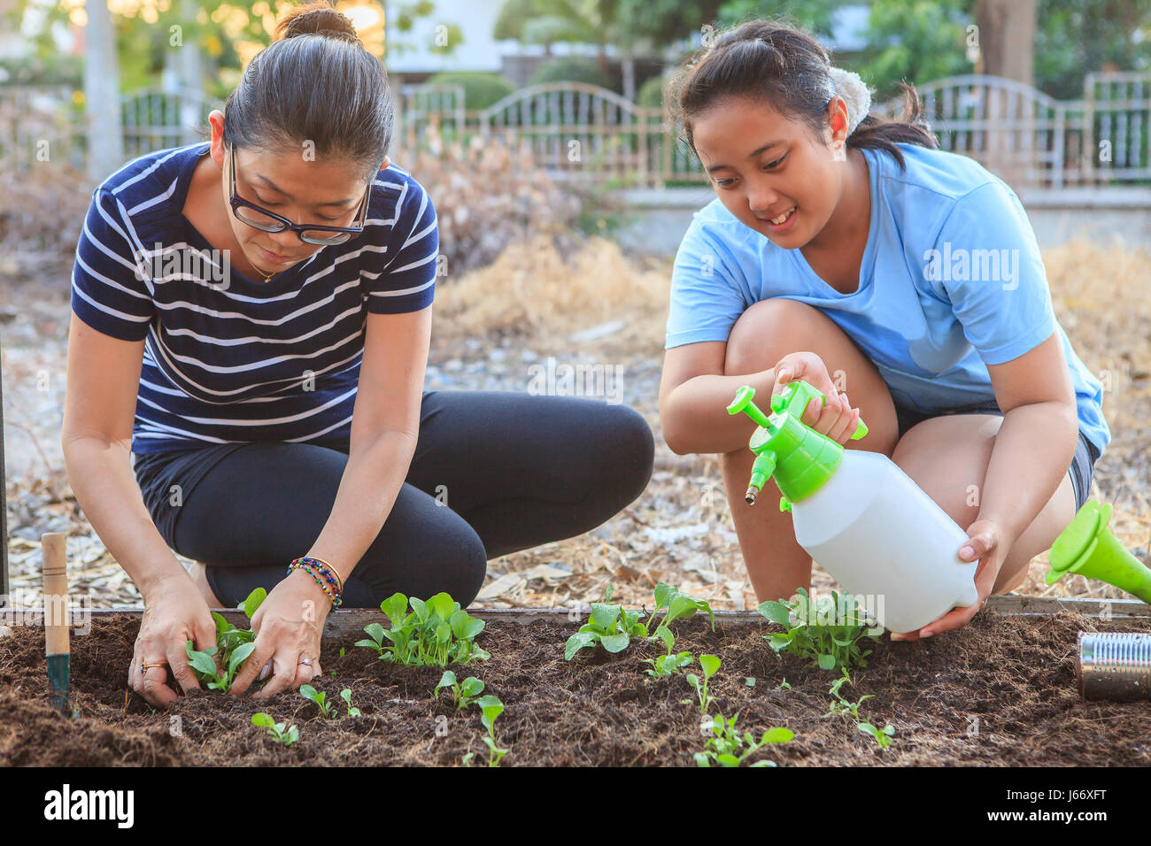 mother and young daughter planting vegetable in home garden field use ...