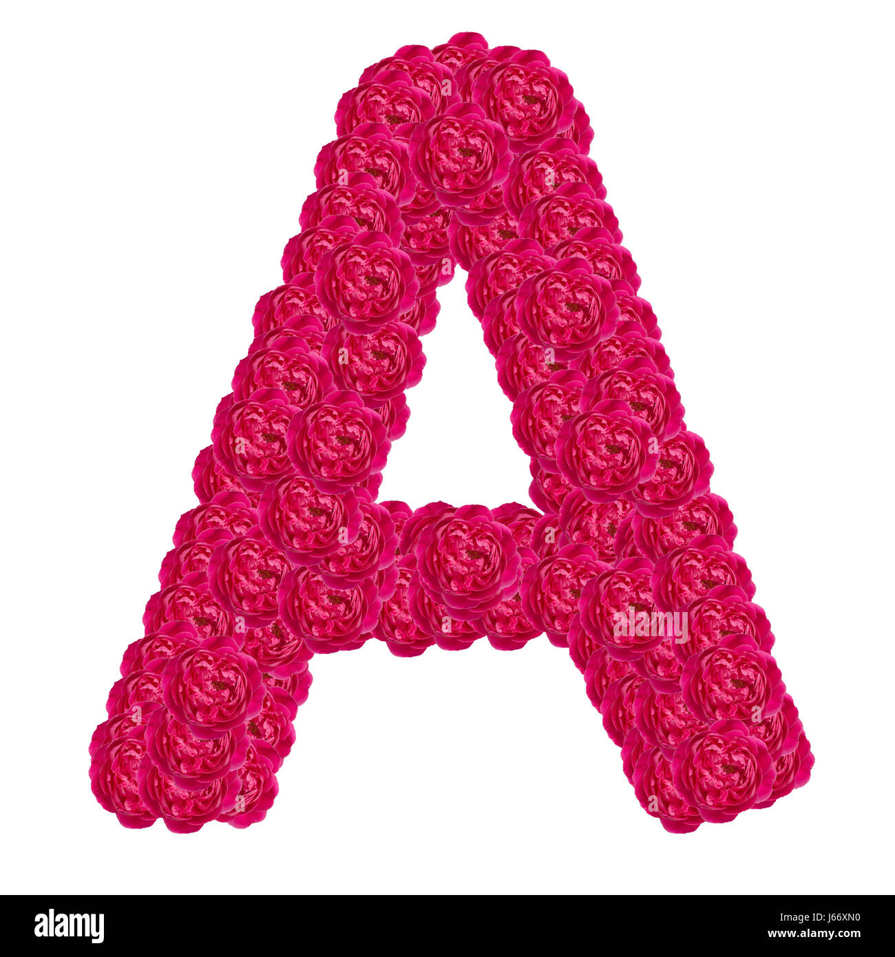 Letter A alphabet with damask rose ABC concept type as logo isolated on ...