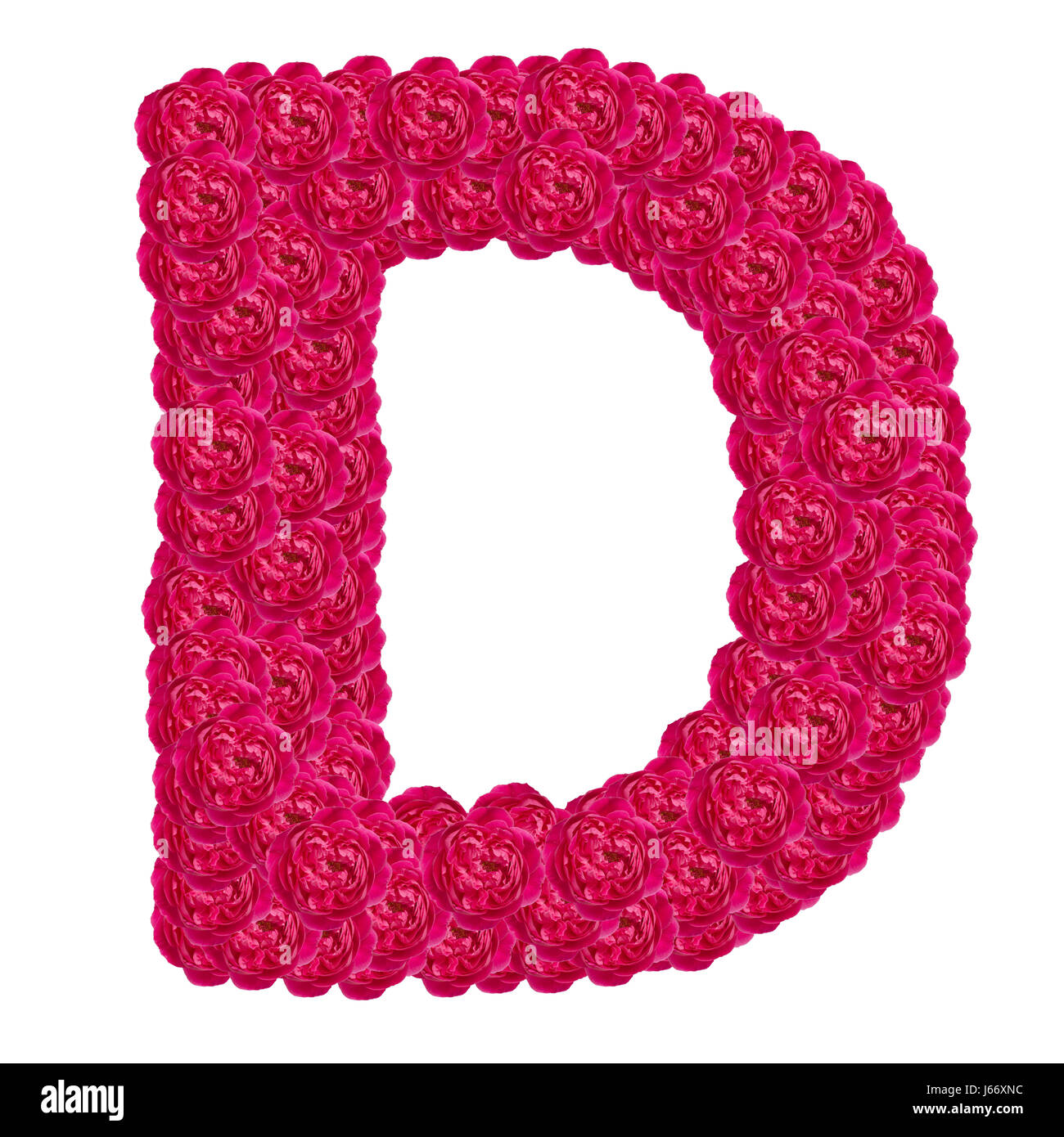 Letter D alphabet with damask rose ABC concept type as logo isolated on ...