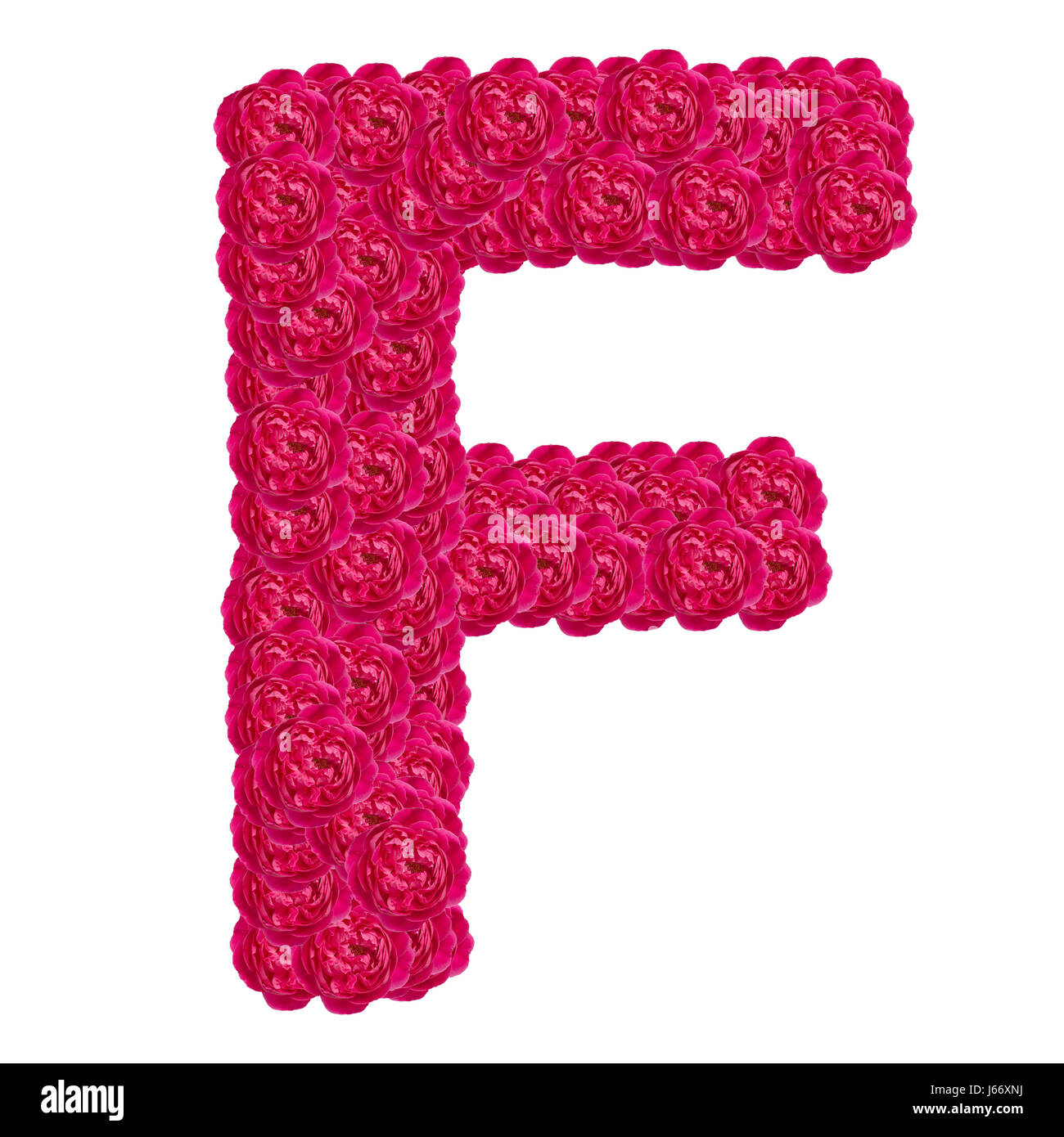Letter F alphabet with damask rose ABC concept type as logo isolated on ...