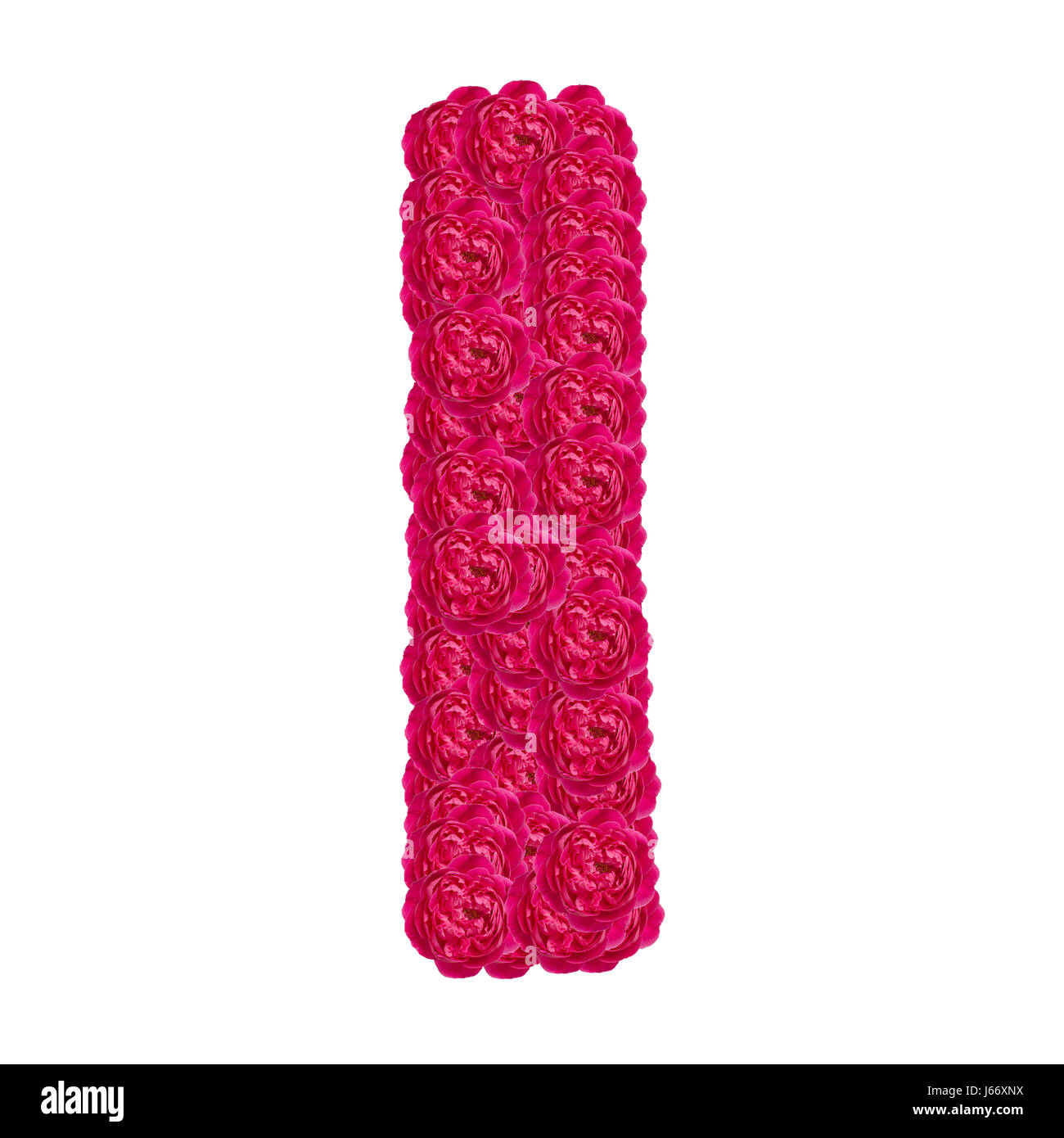 Letter I alphabet with damask rose ABC concept type as logo isolated on ...