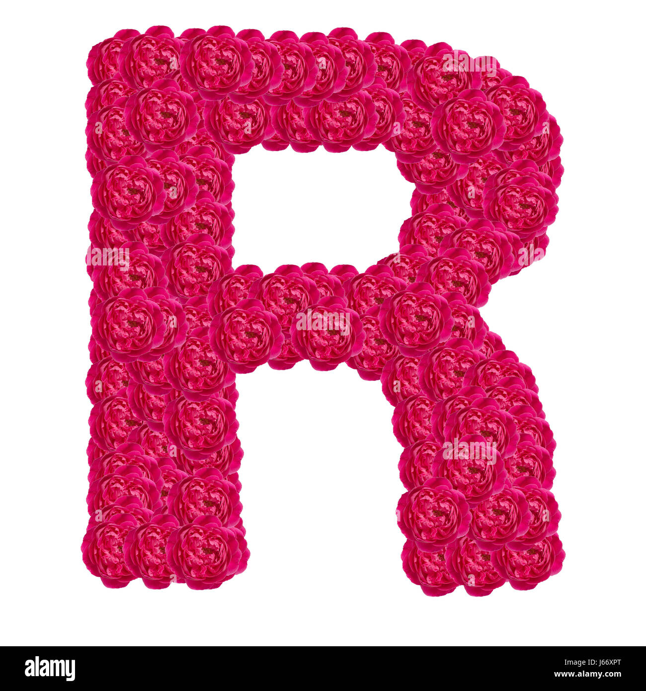 Letter R alphabet with damask rose ABC concept type as logo isolated on ...