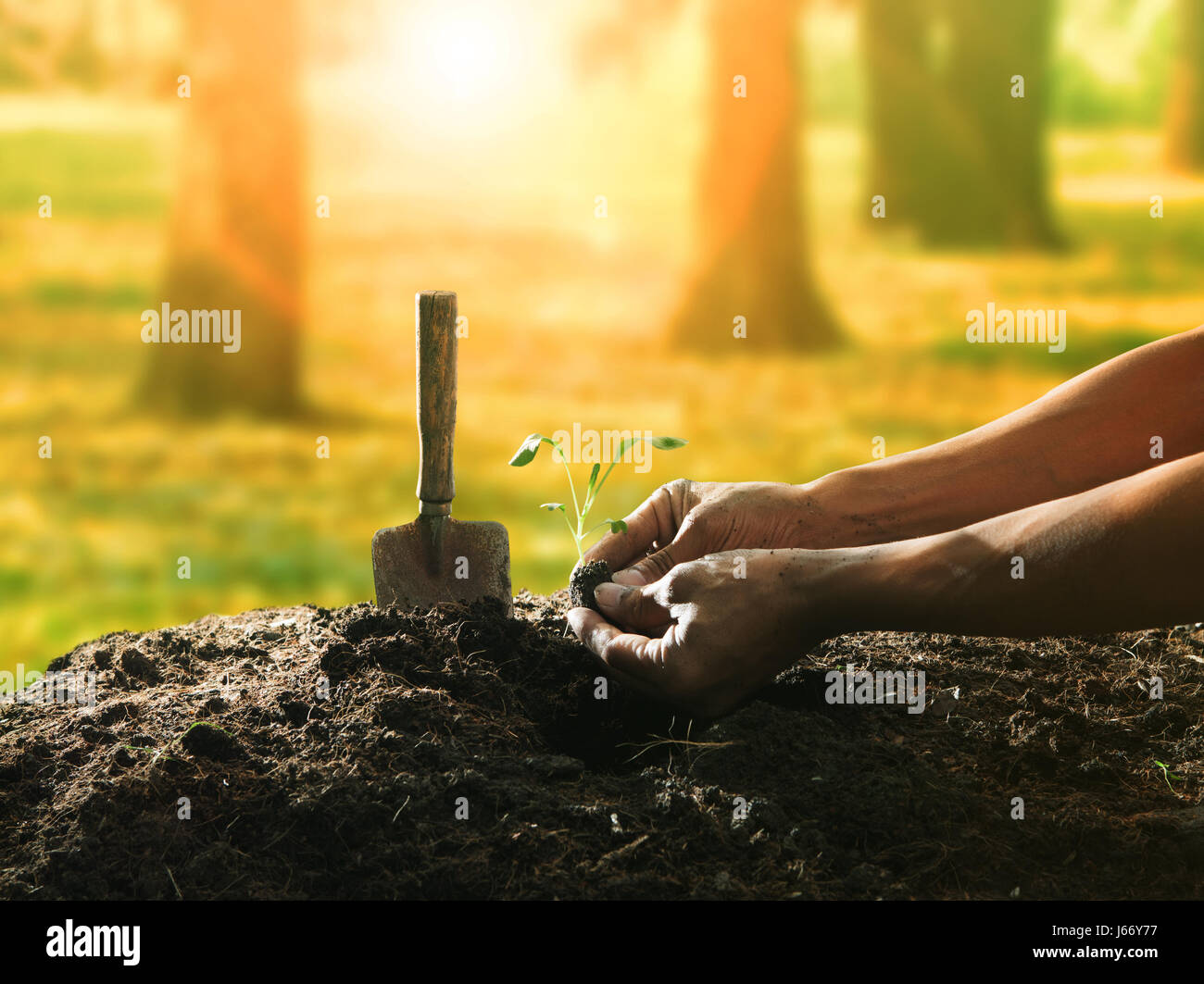 conceptual of hand planting tree seed on dirty soil against beautiful ...