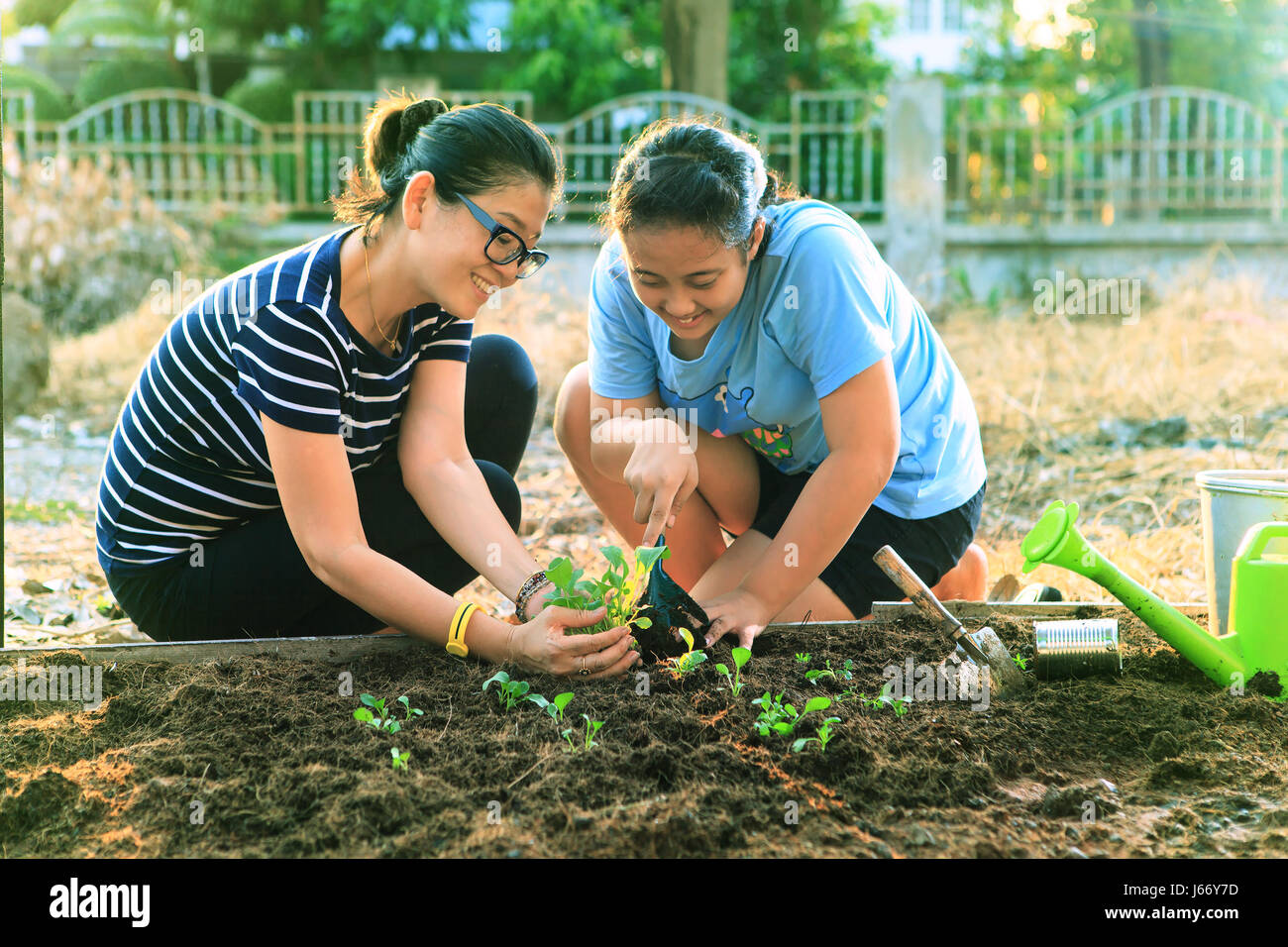 mother and young daughter planting vegetable in home garden field use ...