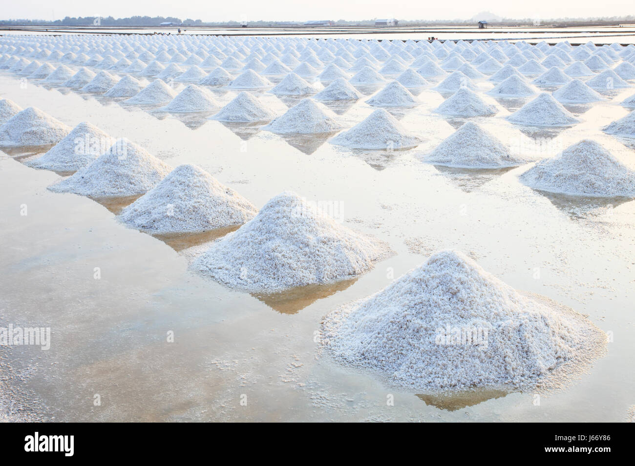 Comsumer hi-res stock photography and images - Alamy