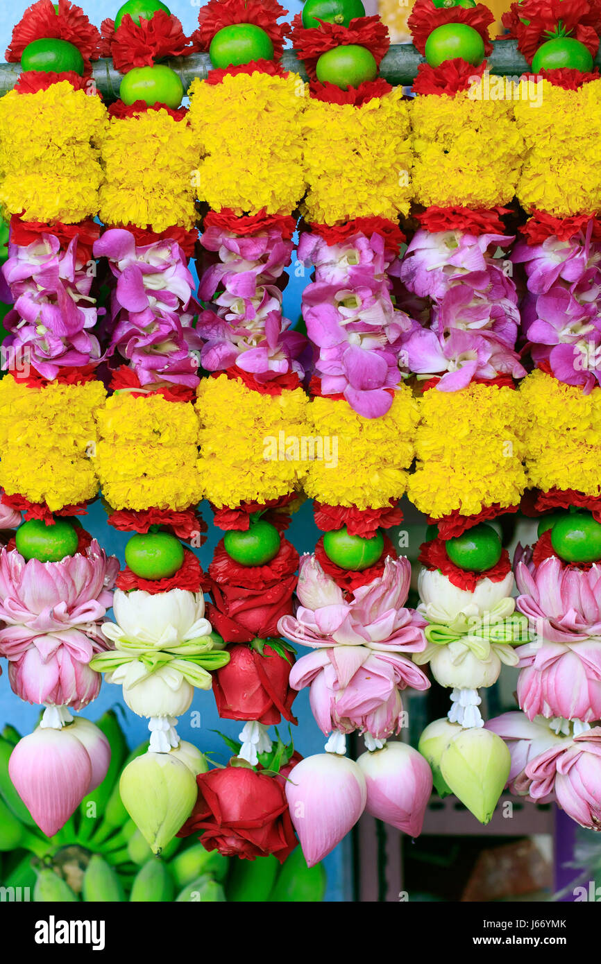 Indian pink marigold garland hi-res stock photography and images - Alamy
