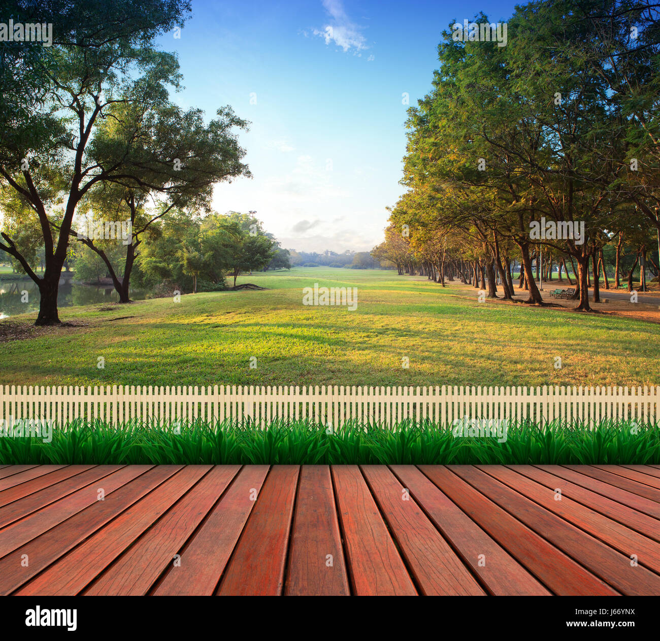 wood terrace and green grass field public park use as natural ...