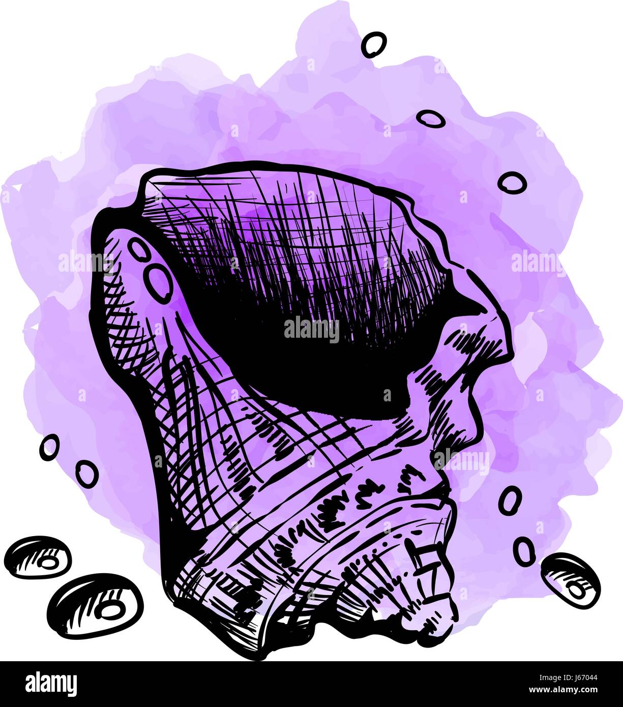 Shelll Stock Vector Images - Alamy