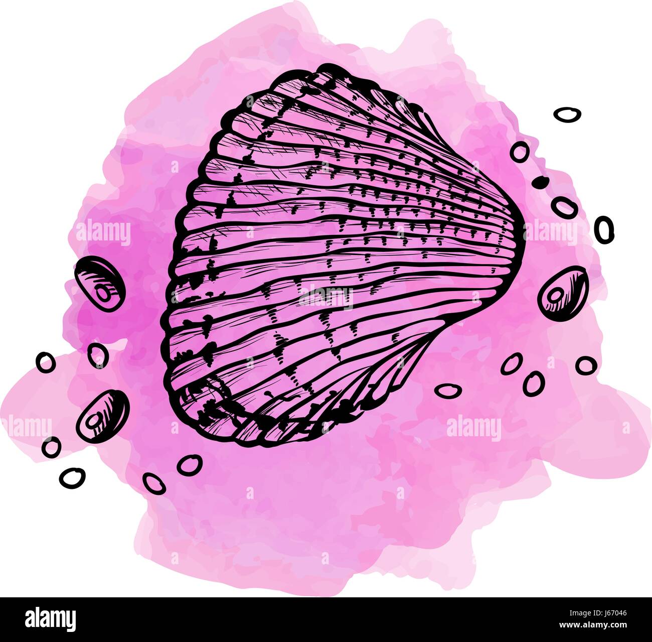 Seashell pink Stock Vector Images - Alamy