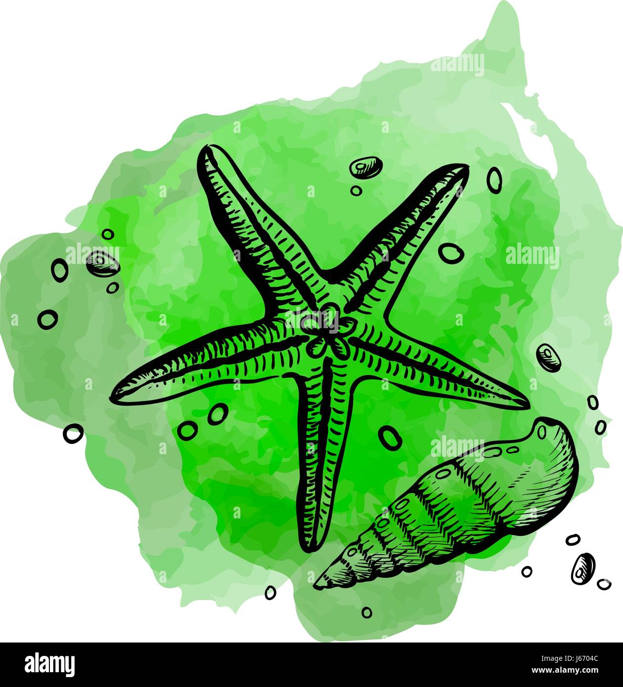 Star and shell on green background Stock Vector Image & Art - Alamy