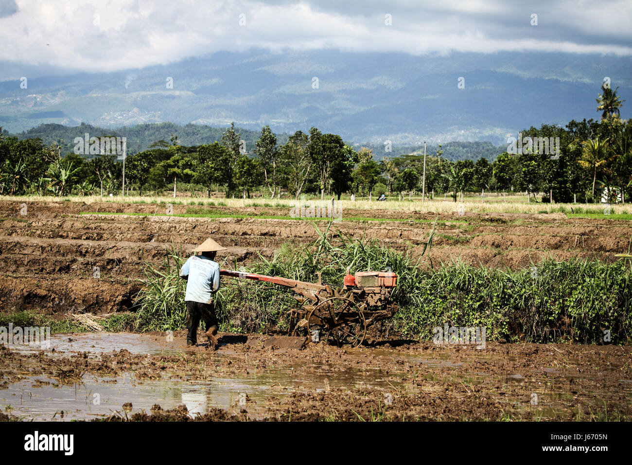 Indonesian man tilling the land with a traditional plough at the foot ...