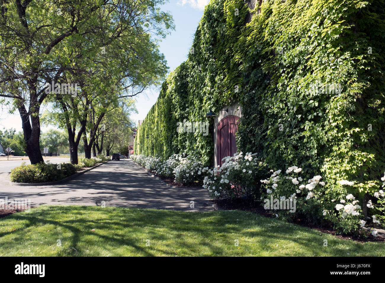 Beaulieu Vineyard winery building Rutherford Napa County California ...