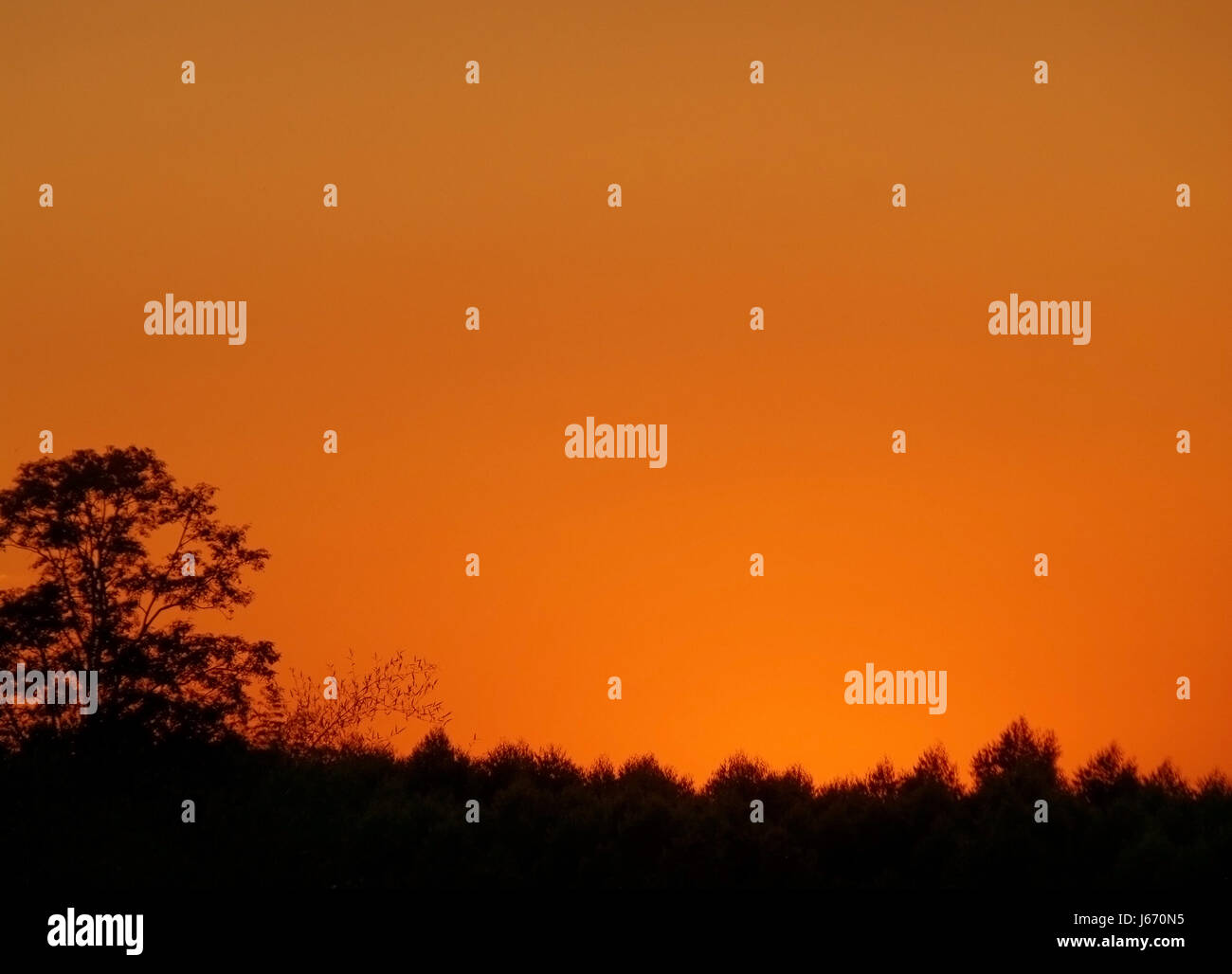 Beautiful orange color of sunset sky over the silhouette of countryside ...