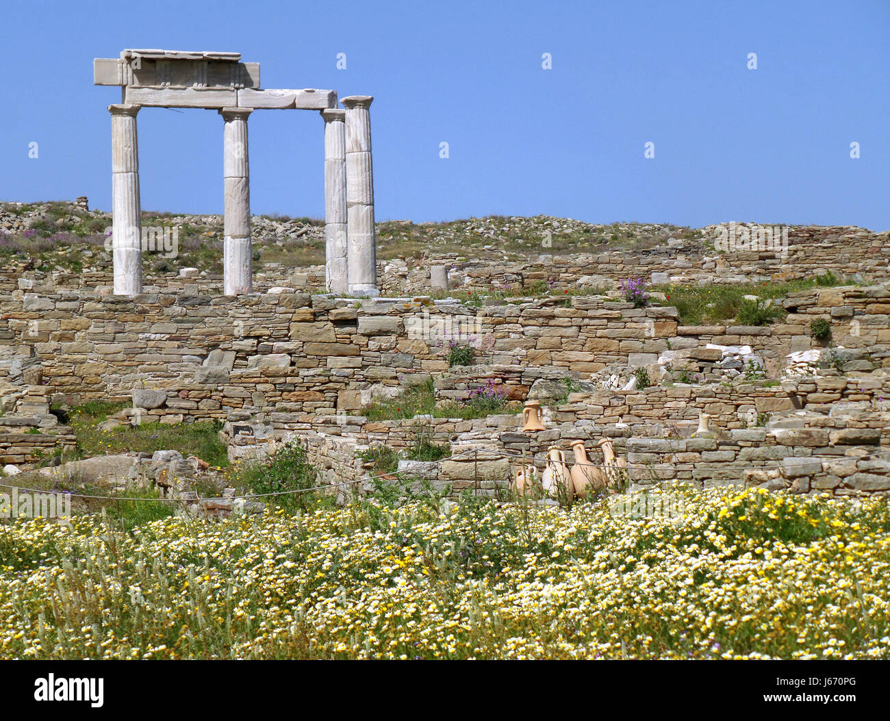 Incredible Remains of the Ancient Greek Temple on Wild Flower Field ...