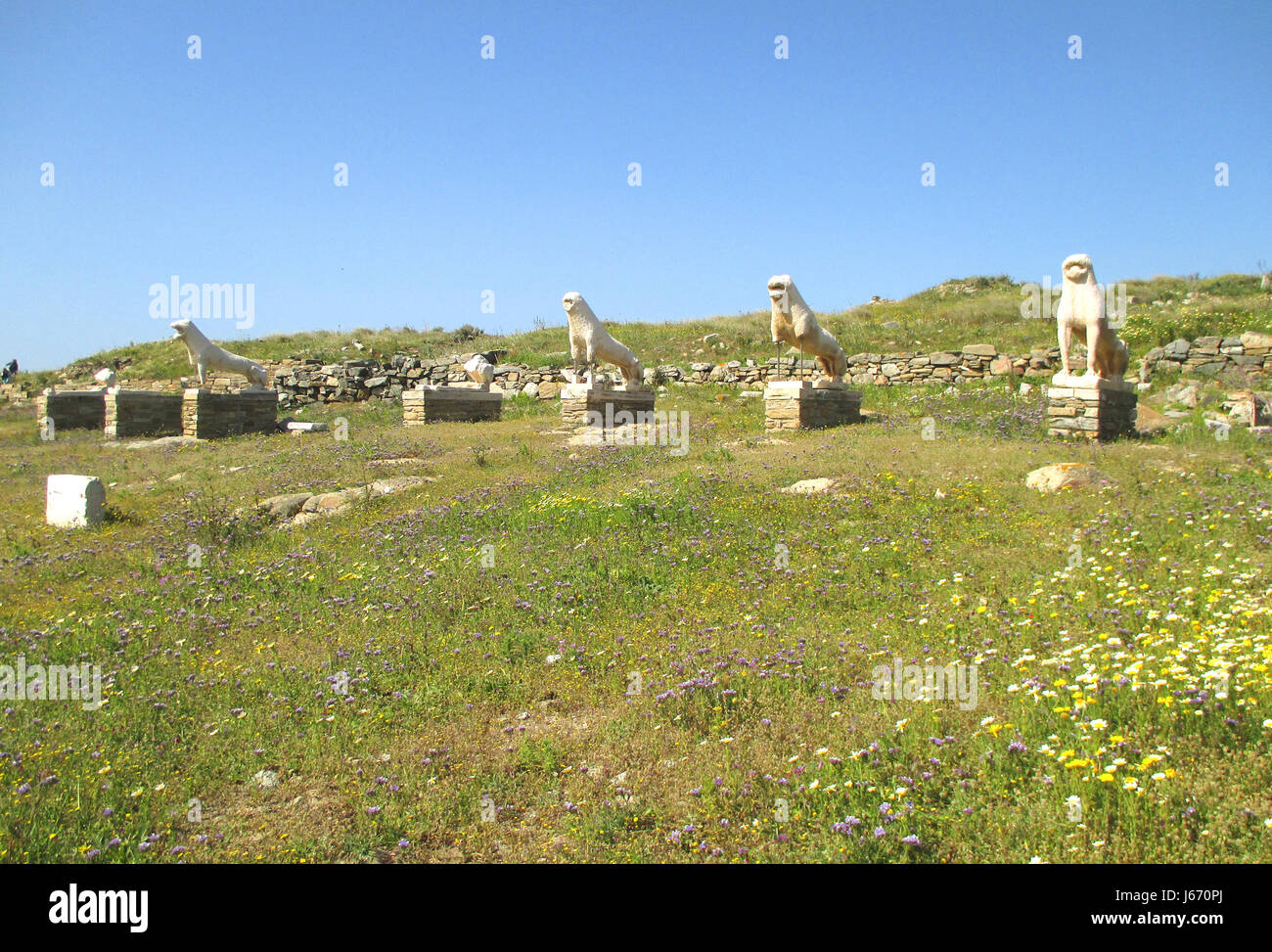 Stunning View of Terrace of the Lions, Archaeological Site of Delos ...
