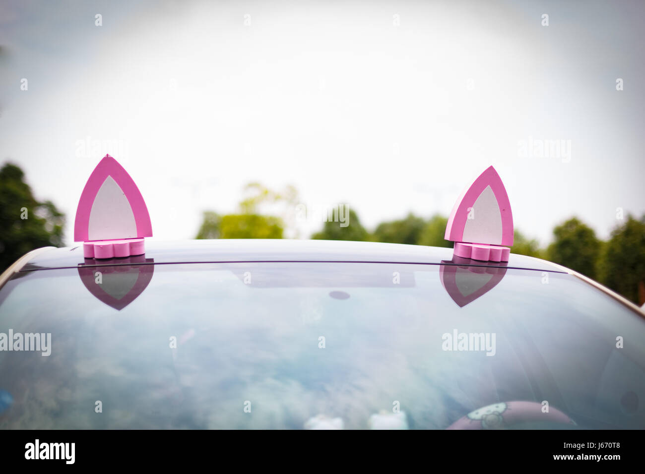 A car with toy ears Stock Photo - Alamy