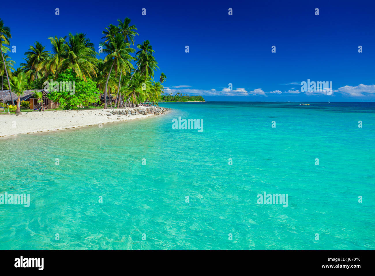 Tropical island in Fiji, palm trees and the sandy beach, Plantation ...