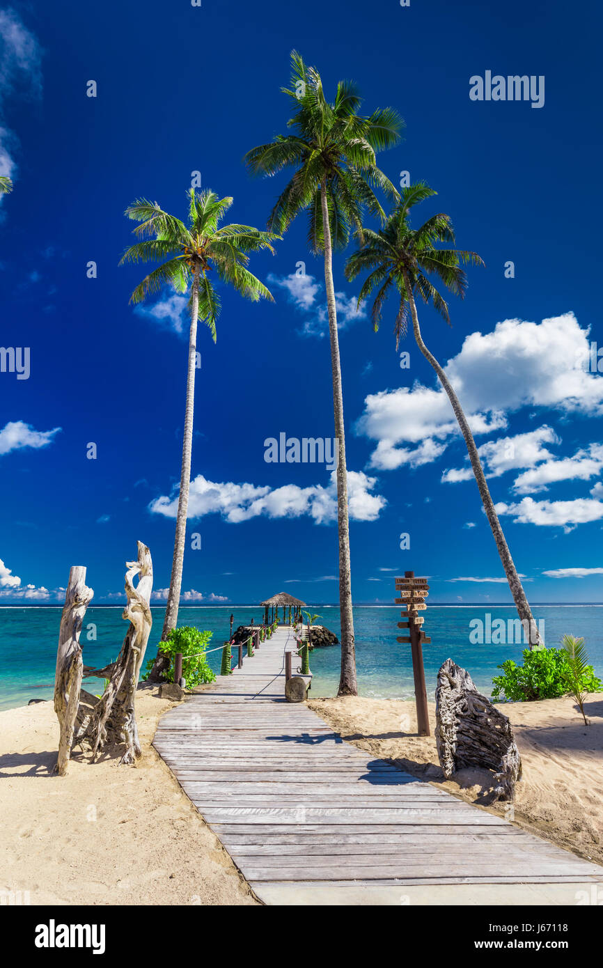 Tropical beach scene with coconut palm trees and jetty, South Pacific ...