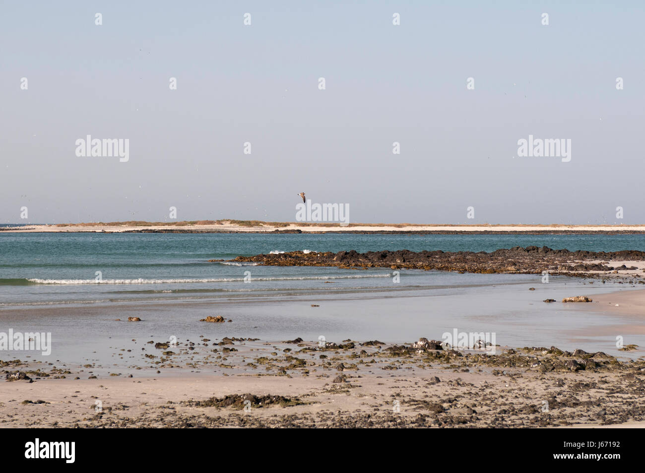Masirah island, Oman Stock Photo - Alamy