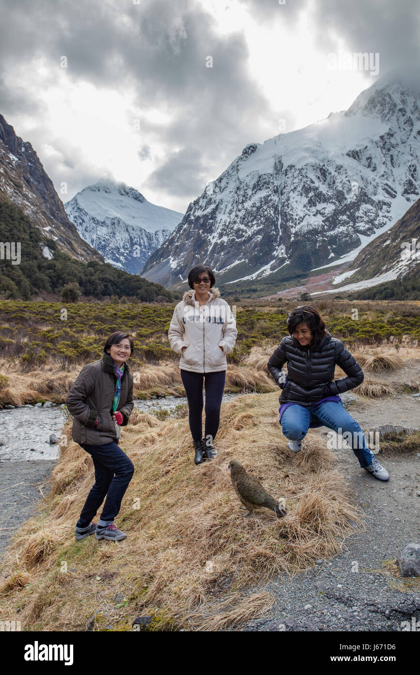 MILFORDSOUND NEW ZEALAND-AUGUST30 : visitor at monkey creek taking a ...