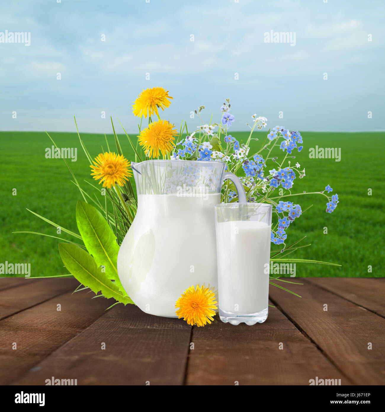 Milk and sunny spring field Stock Photo - Alamy