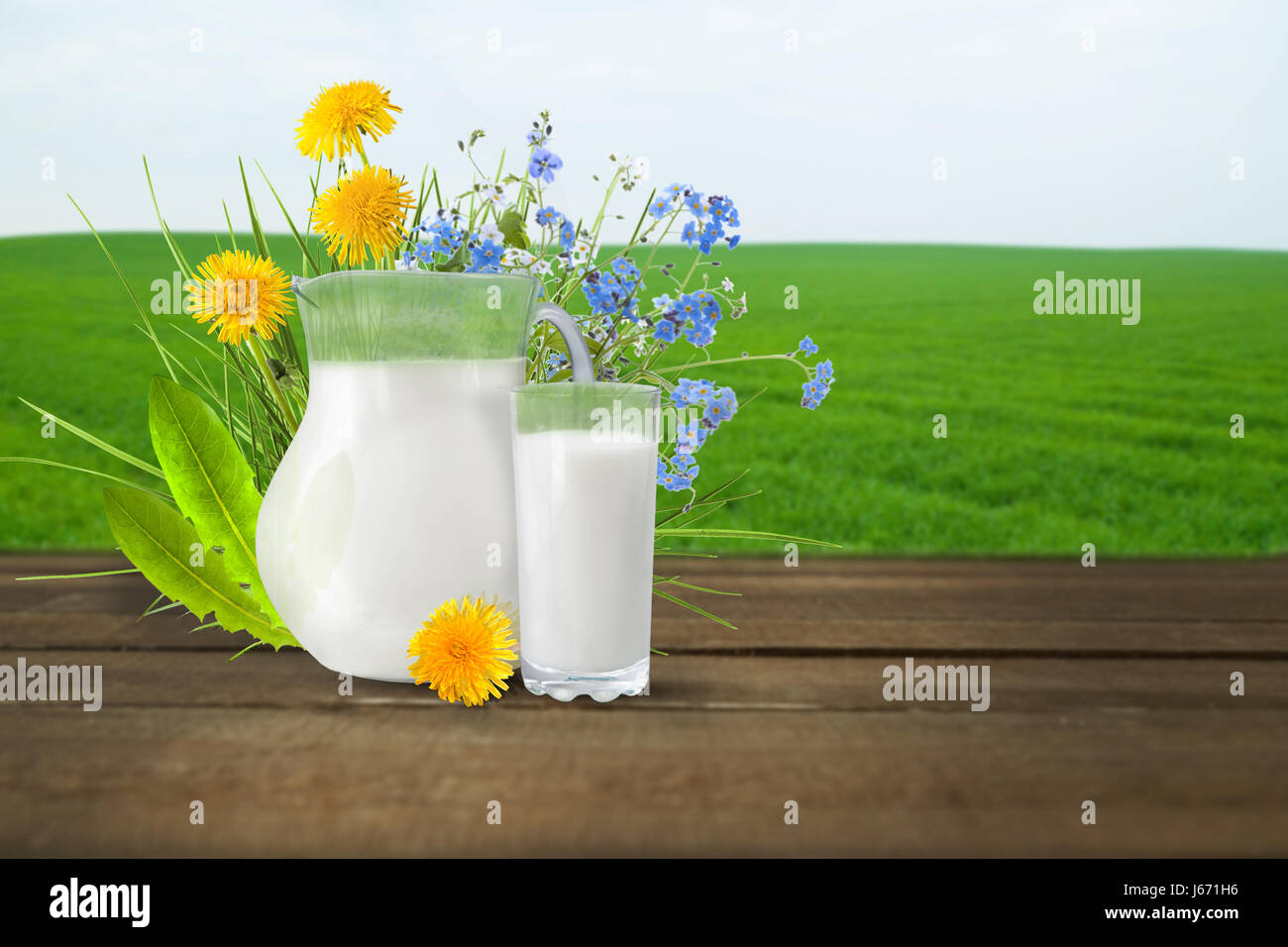 Milk and sunny spring field Stock Photo - Alamy
