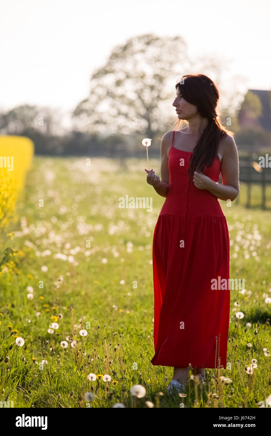 Summer summers day hi-res stock photography and images - Alamy