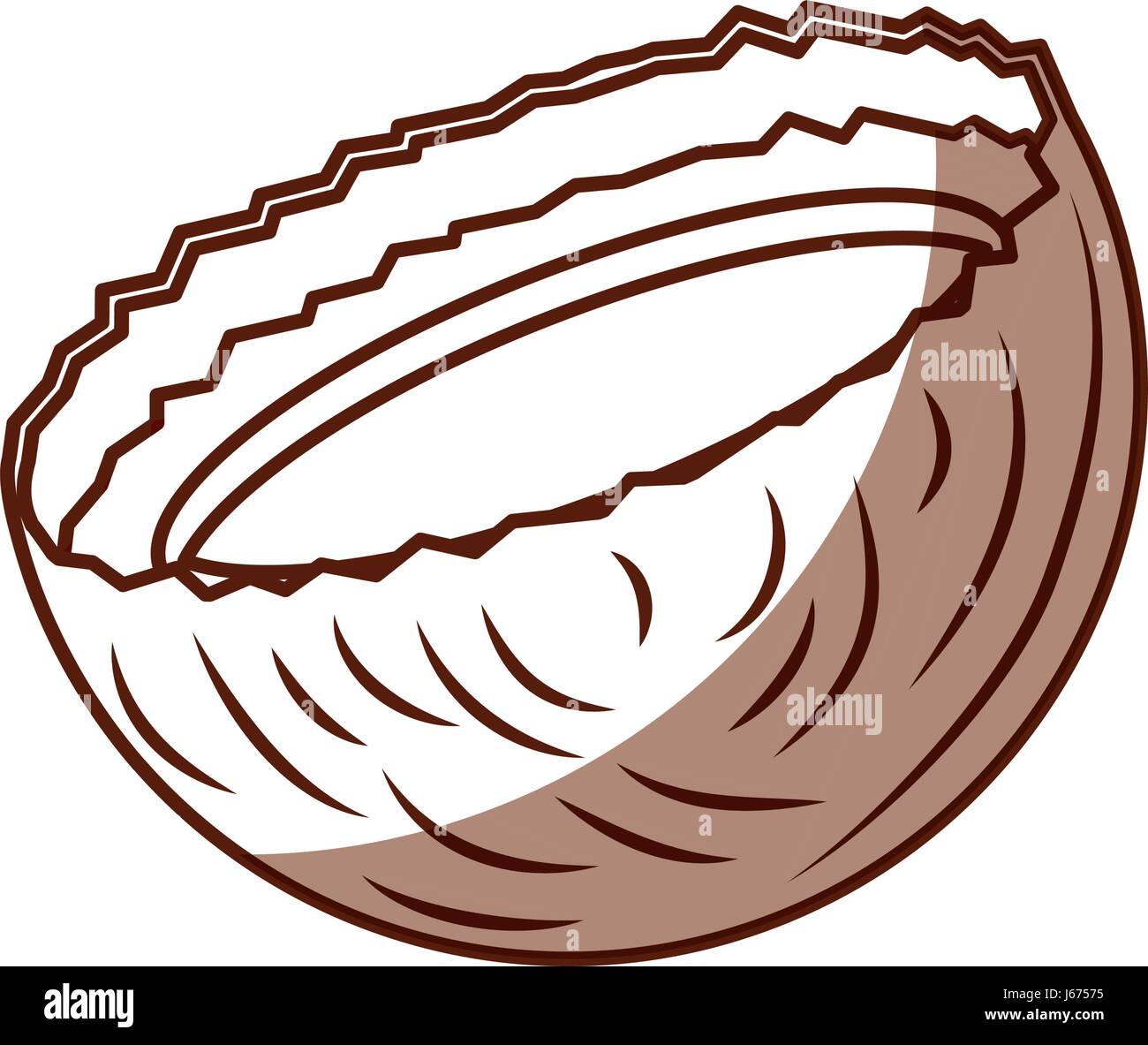 tropical coconut cocktail icon Stock Vector Image & Art - Alamy