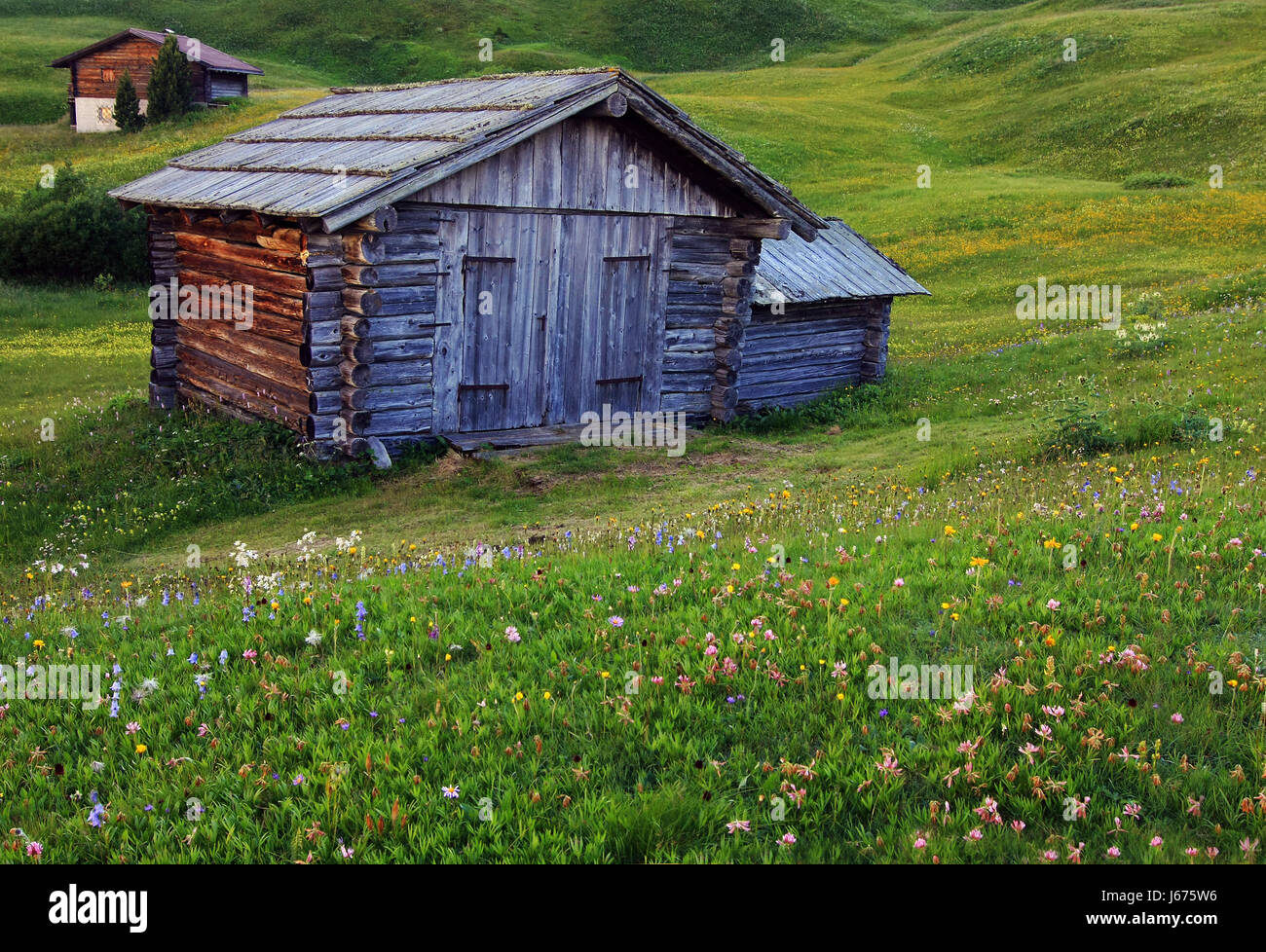 Buntewiese hi-res stock photography and images - Alamy