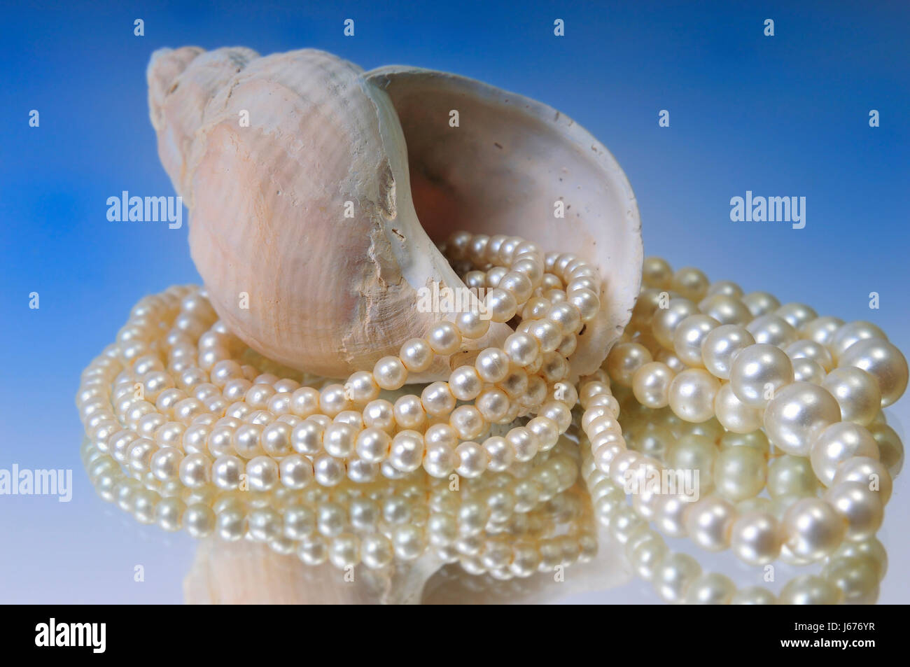 shell jewelry jewellery chain pearls pearl pearl necklet fashion shell ...