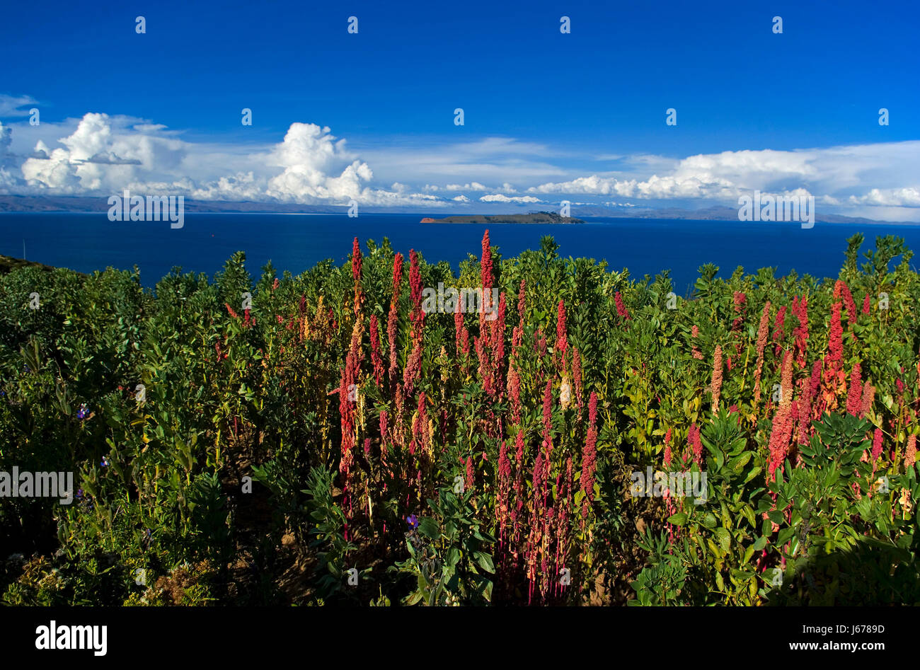 south america peru bolivia firmament sky salt water sea ocean water ...