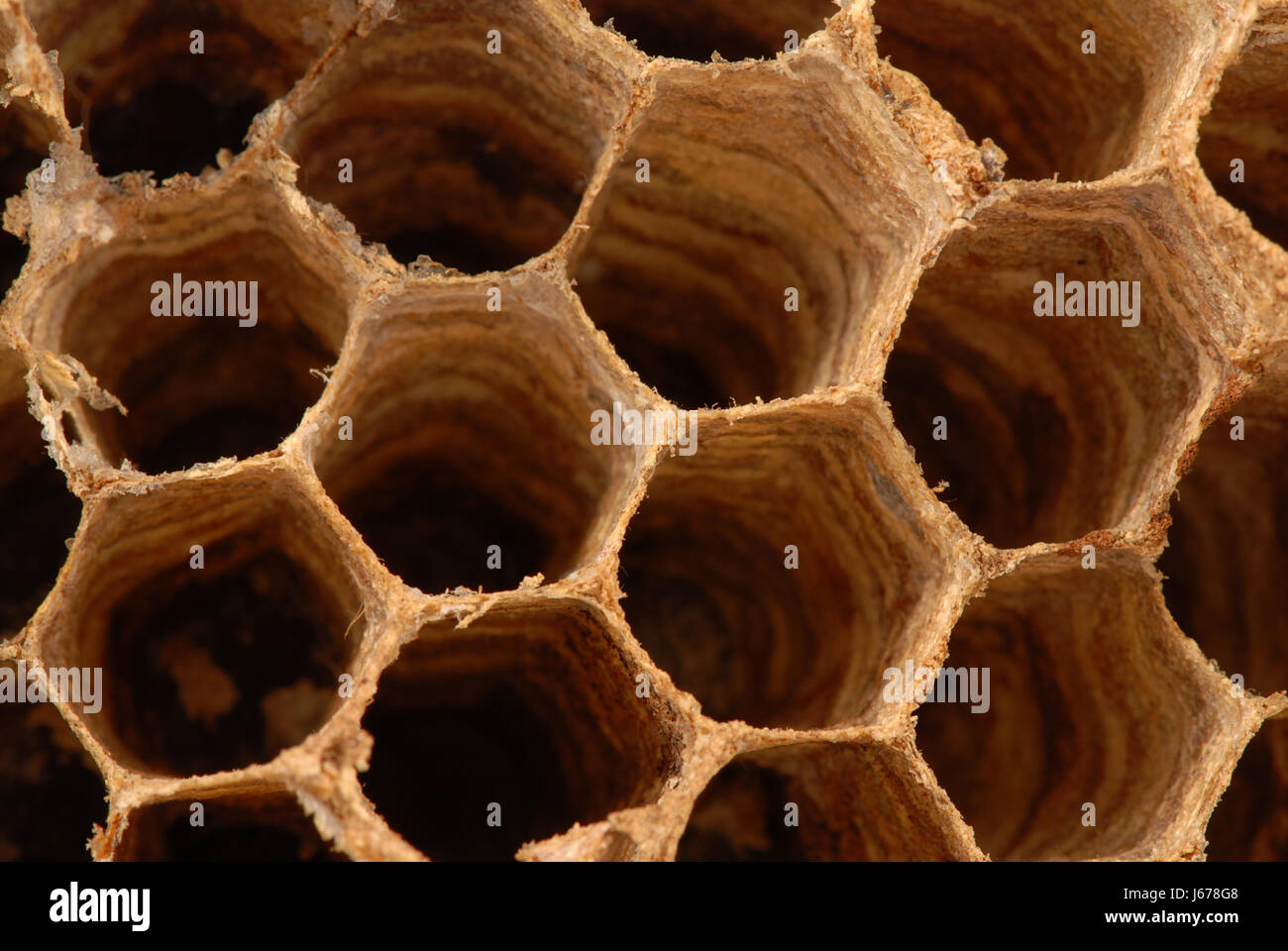 Hexagon object hi-res stock photography and images - Alamy