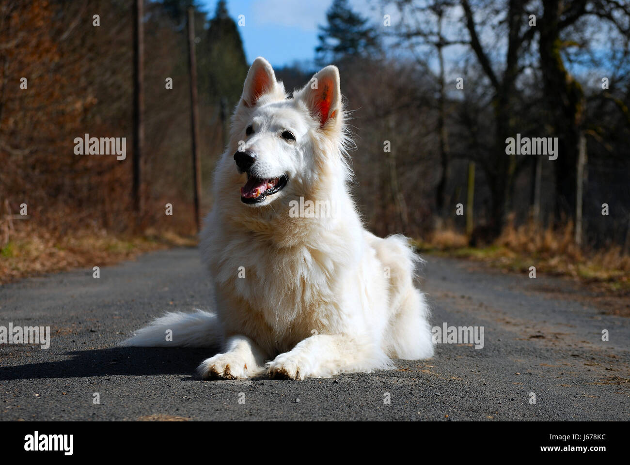 German ac hi-res stock photography and images - Alamy