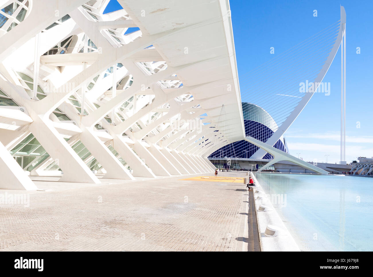Prince Philip Science Museum. Valencia, Spain Stock Photo - Alamy