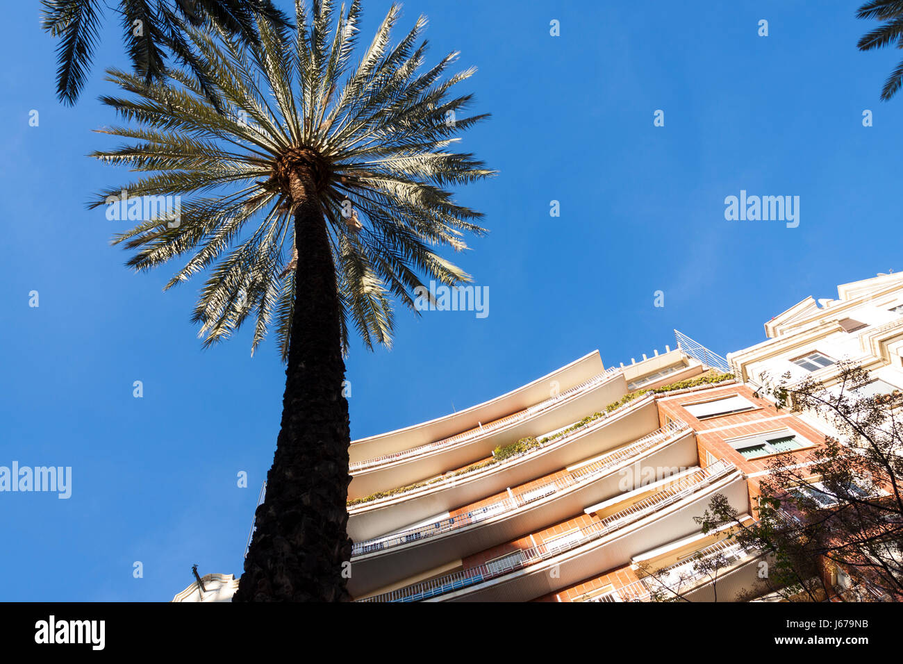 Kingdom of Valencia road with palm trees. Valencia, Spain Stock Photo ...
