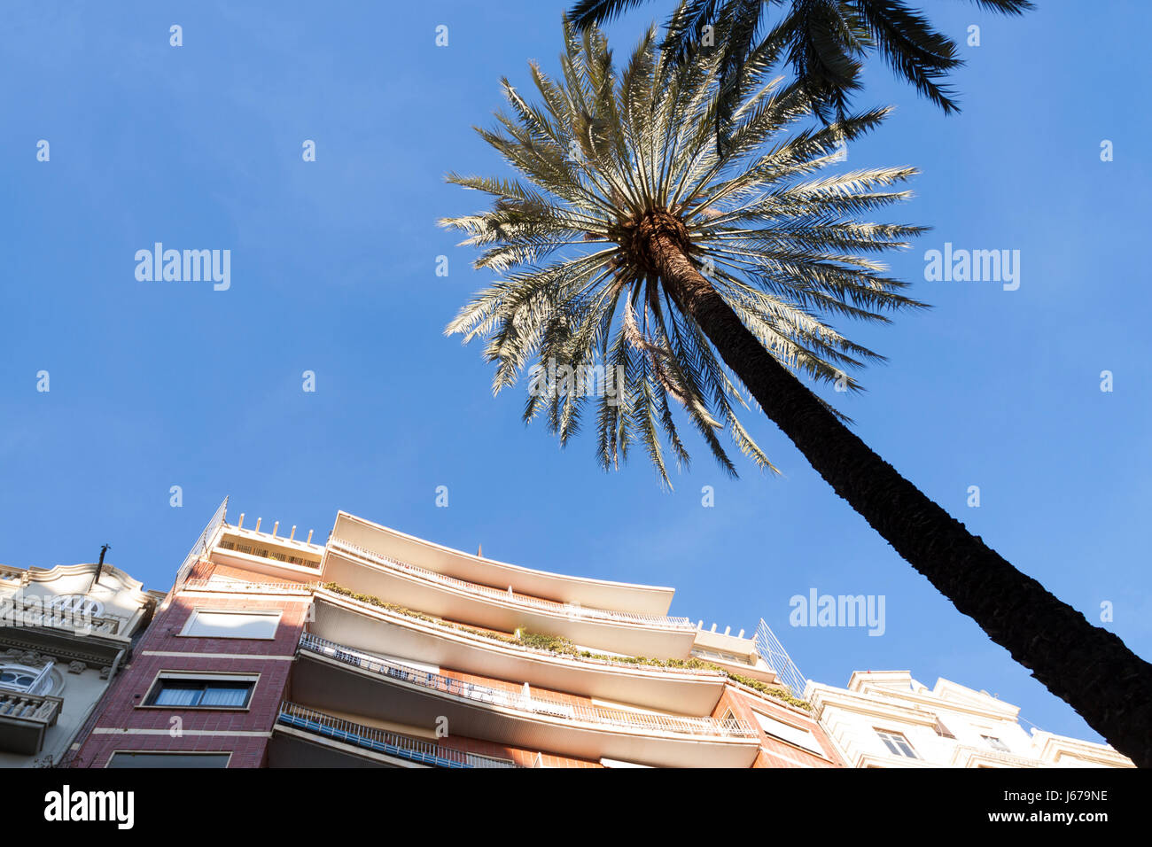 Kingdom of spain and valencia hi-res stock photography and images - Alamy