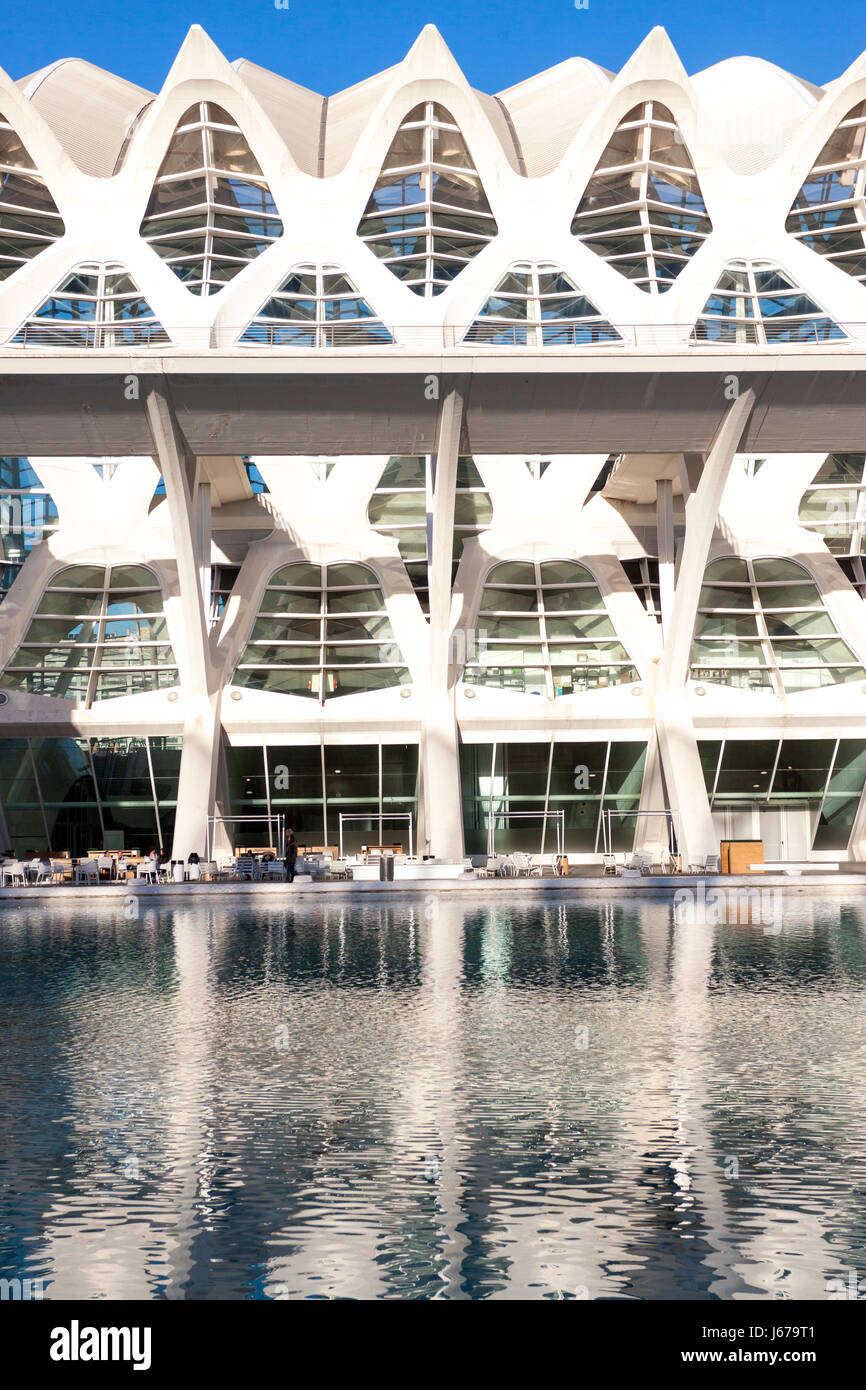 Prince Philip Science Museum. Valencia, Spain Stock Photo - Alamy