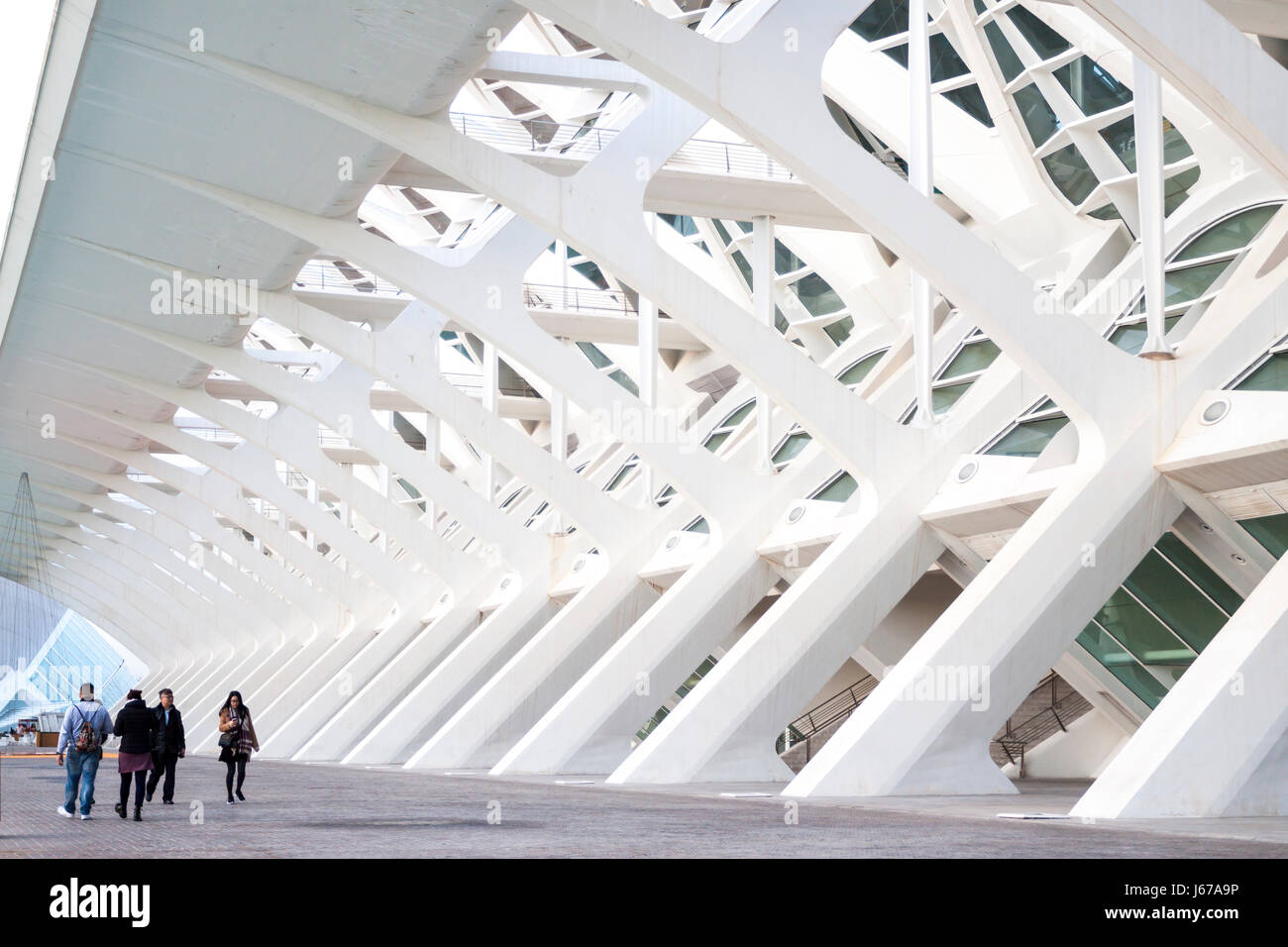 Prince Philip Science Museum. Valencia, Spain Stock Photo - Alamy