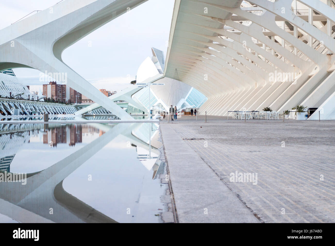 Prince Philip Science Museum reflected in the water at twilight ...