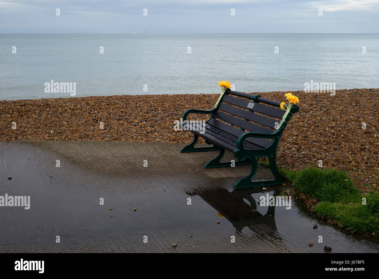 Seaside bench with yellow memorial flowers Stock Photo - Alamy