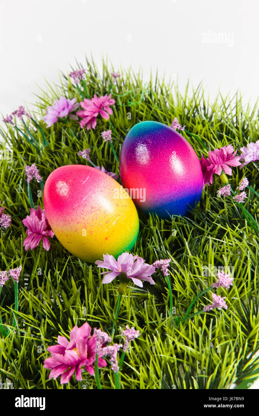 two easter eggs in grass Stock Photo - Alamy