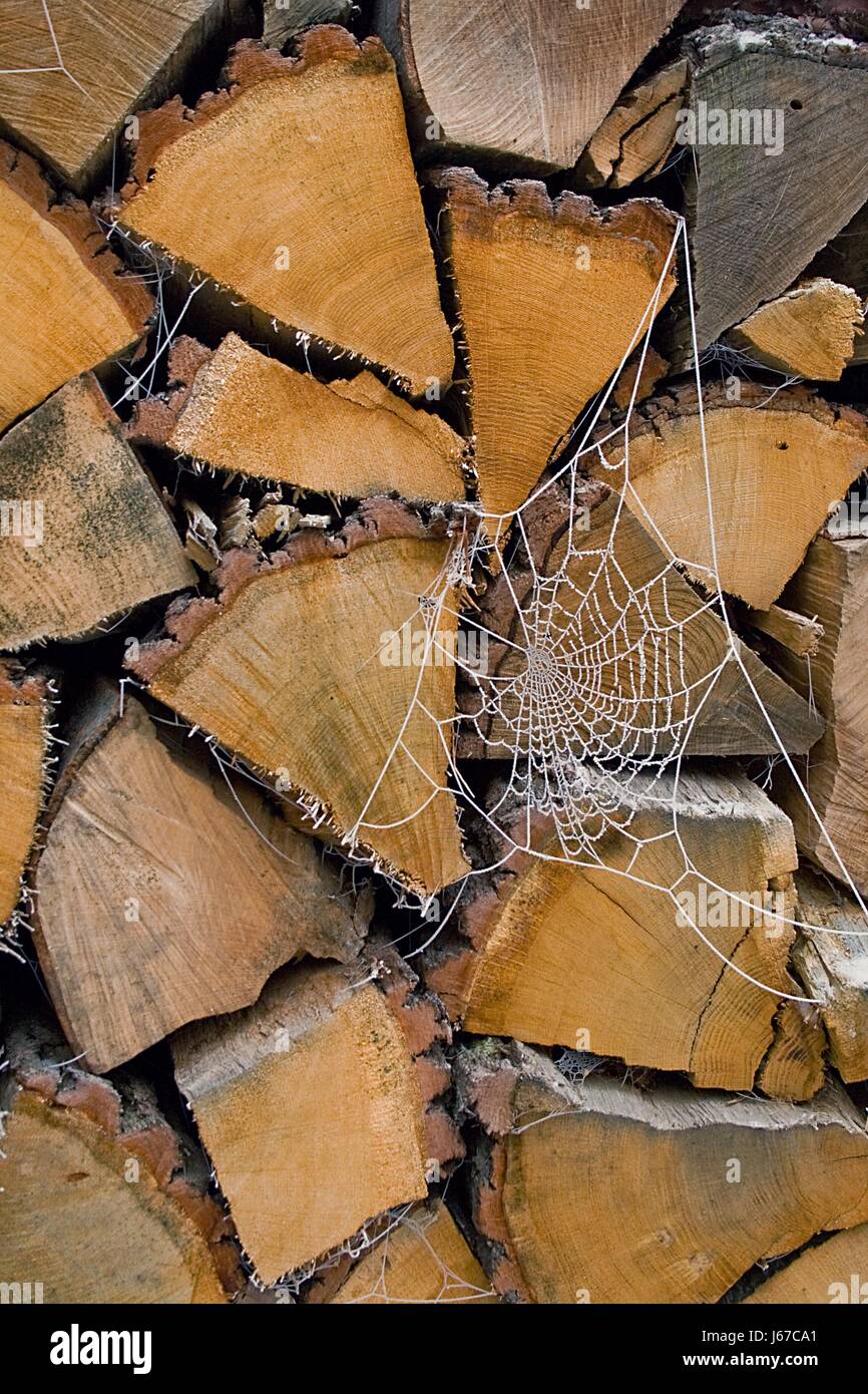 a network of logs Stock Photo - Alamy