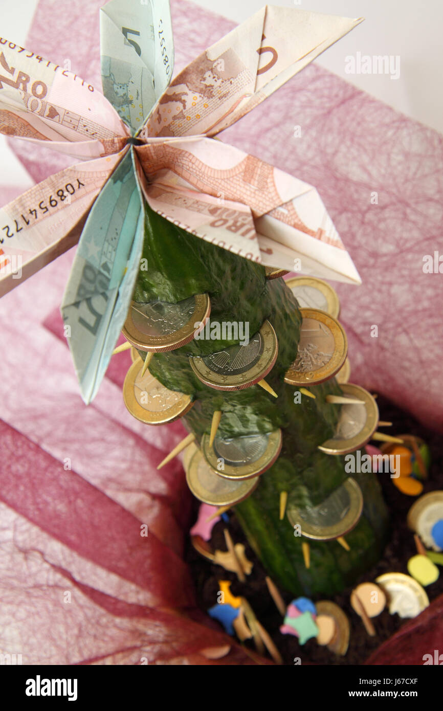 euro coins gift bank notes cactus donation wedding present birthday ...