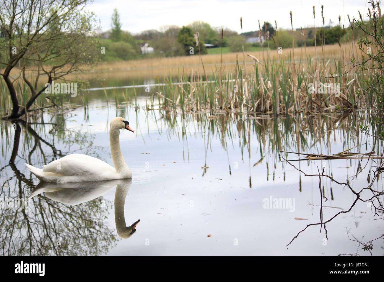 Statues of unity hi-res stock photography and images - Alamy