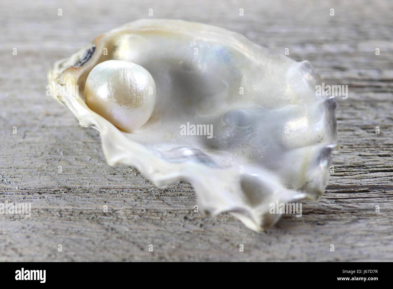 Pearl oyster shell treasure hi-res stock photography and images - Alamy