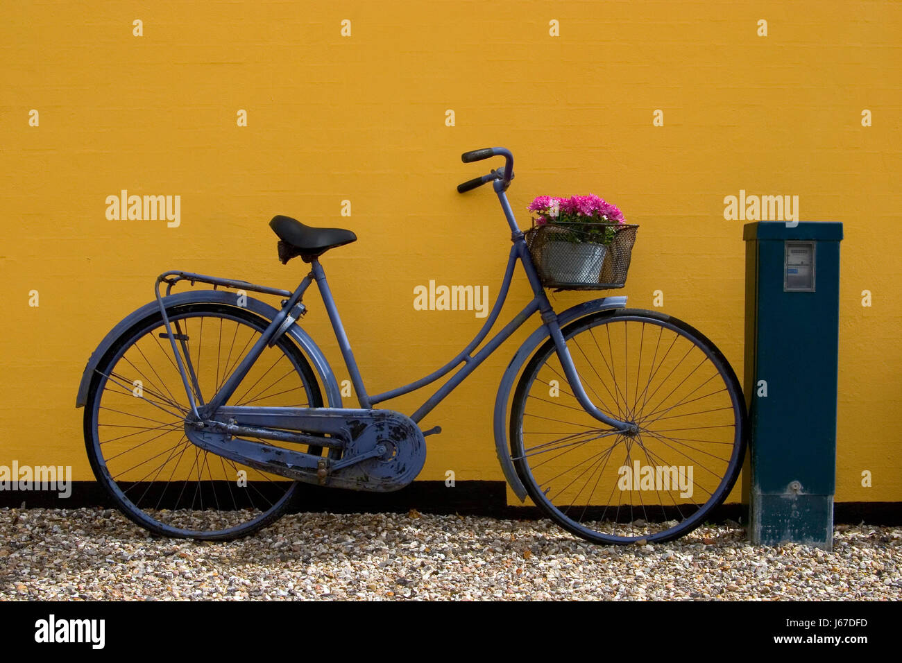 still life bike bicycle cycle still life flower flowers plant denmark ...