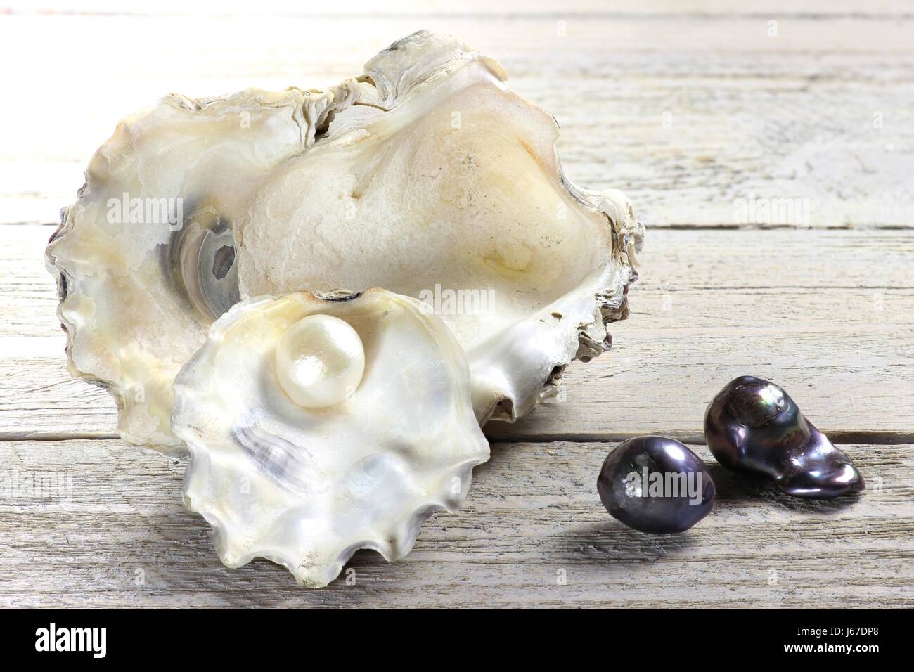 pearl embedded in oyster on wooden background Stock Photo - Alamy