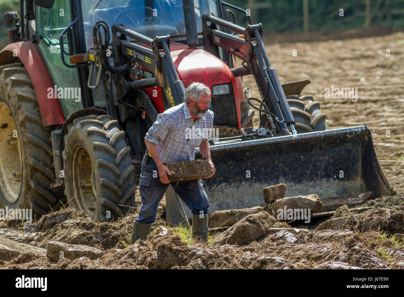 Farmer person lifting heavy blocks of stone by hand in a field with a ...