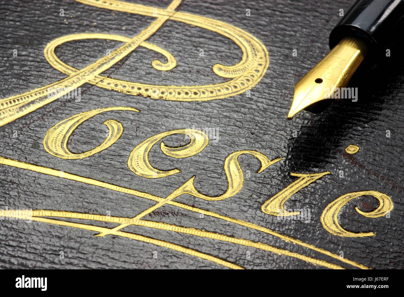 German poetry album with fountain pen Stock Photo - Alamy
